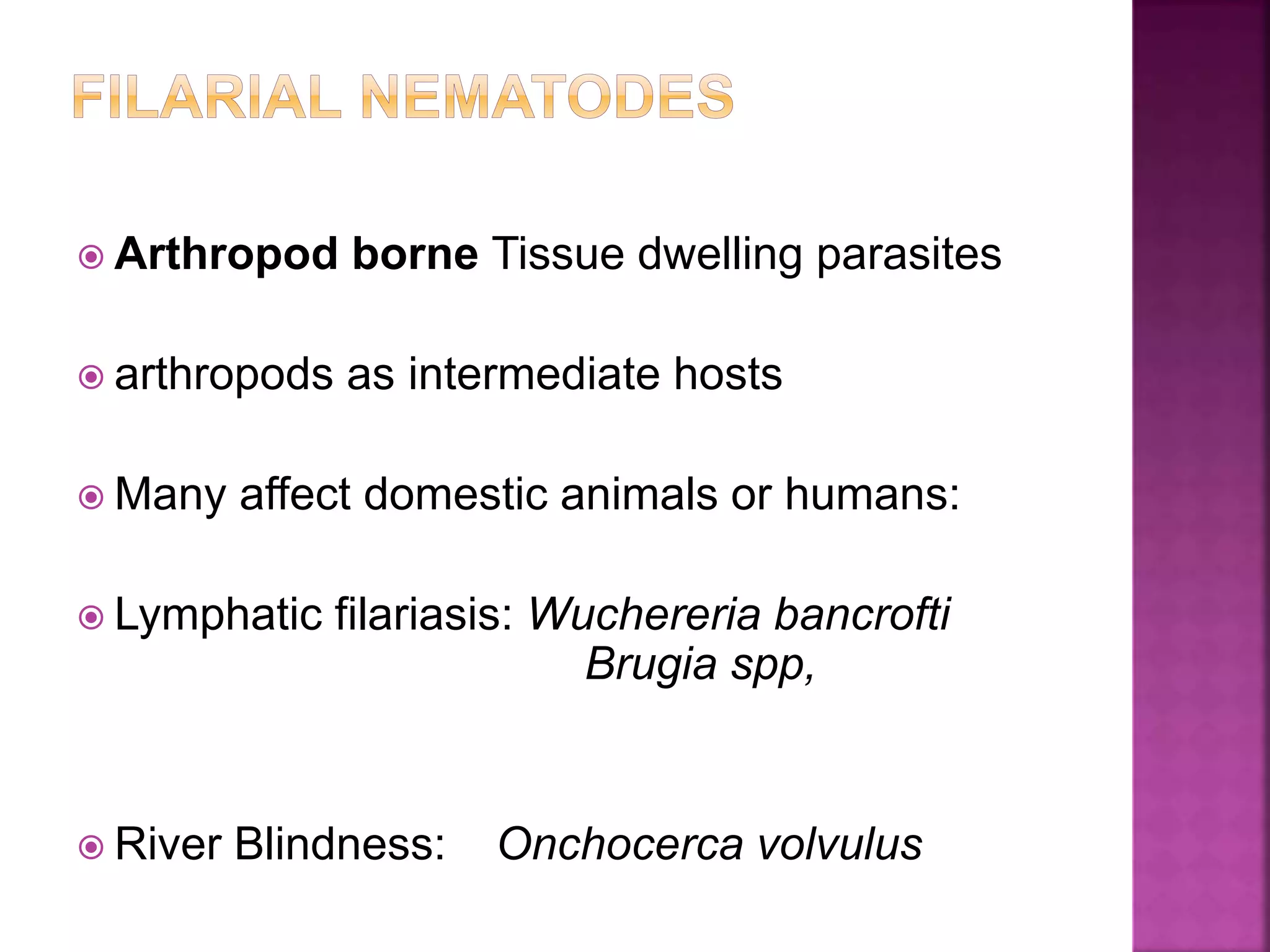 Filariasis | PPTX