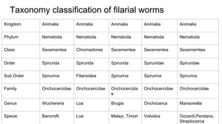 Filariasis | PPT