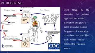 Filariasis | PPT