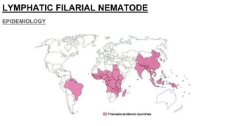Filariasis.pptx