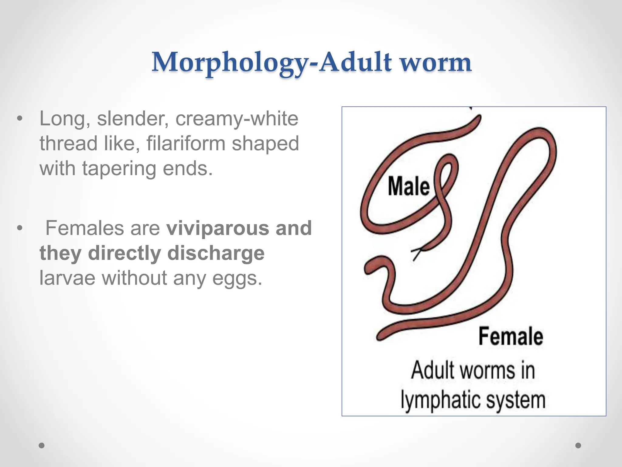 FILARIASIS AIIMS Rishikesh Micro Biology.pptx