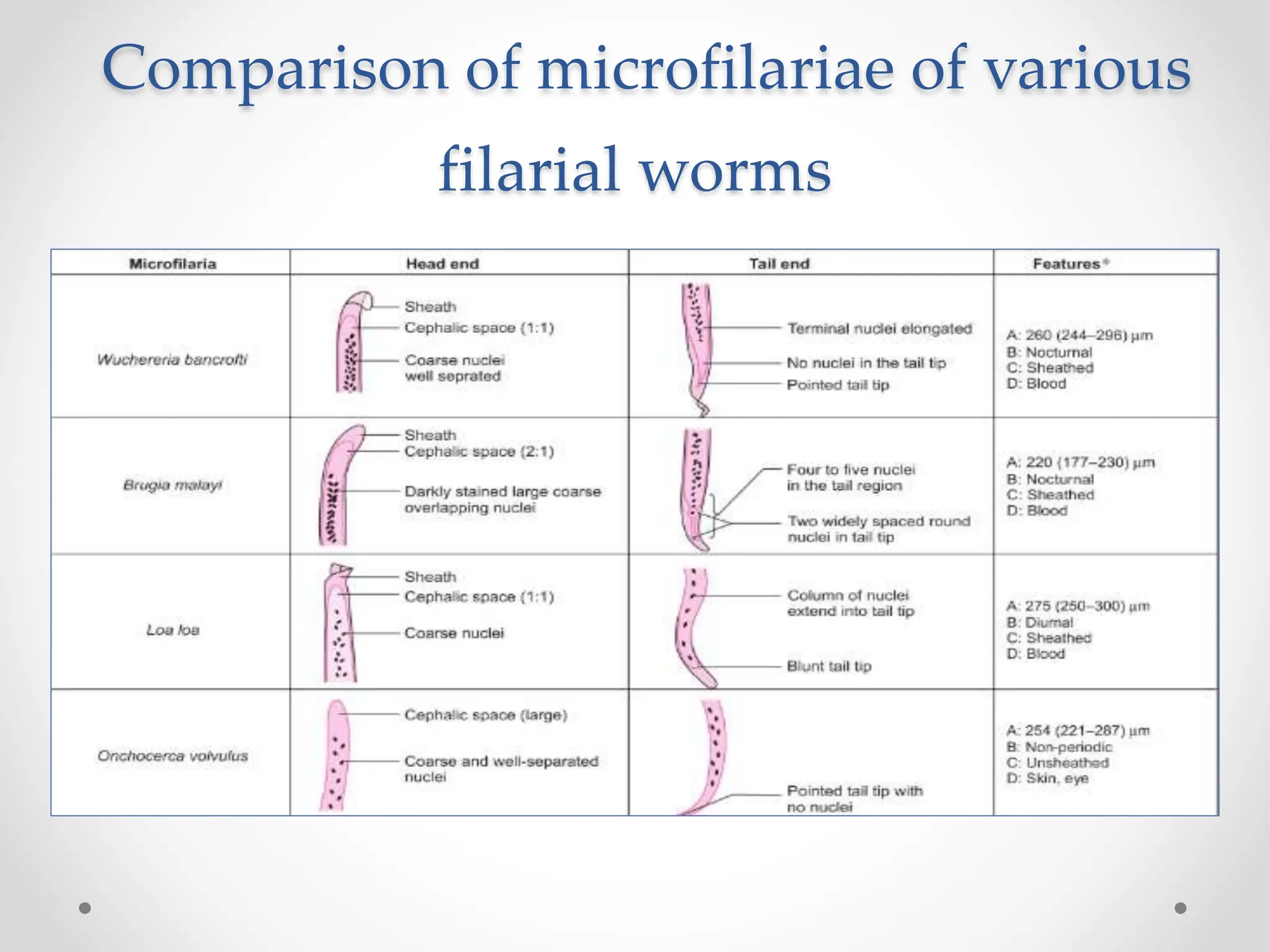 FILARIASIS AIIMS Rishikesh Micro Biology.pptx
