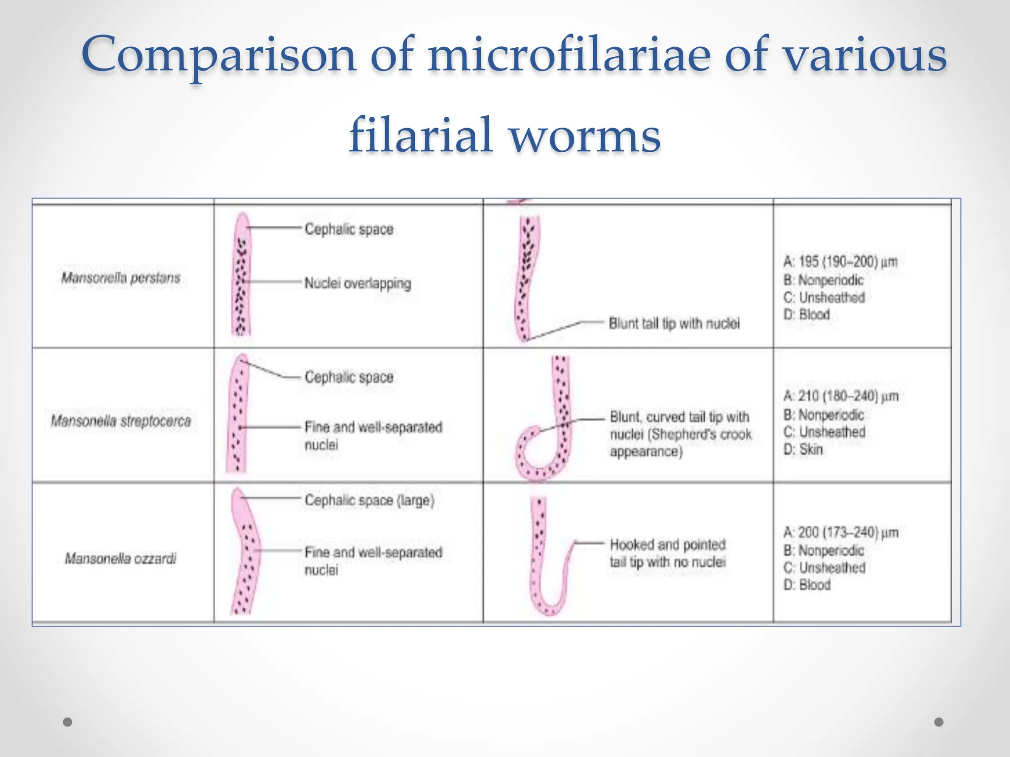FILARIASIS AIIMS Rishikesh Micro Biology.pptx | Infectious Diseases ...
