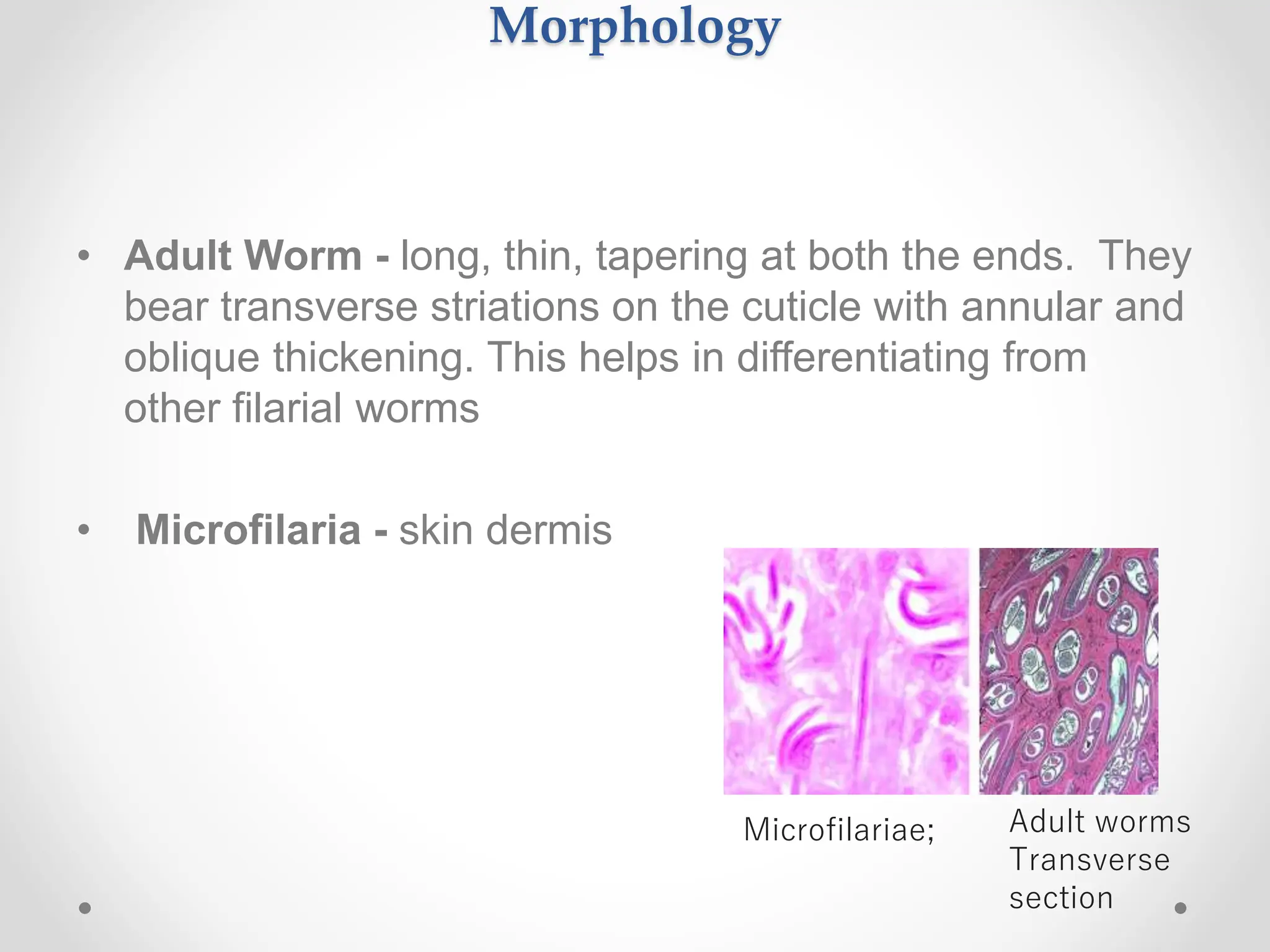 FILARIASIS AIIMS Rishikesh Micro Biology.pptx