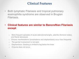 FILARIASIS.pptx