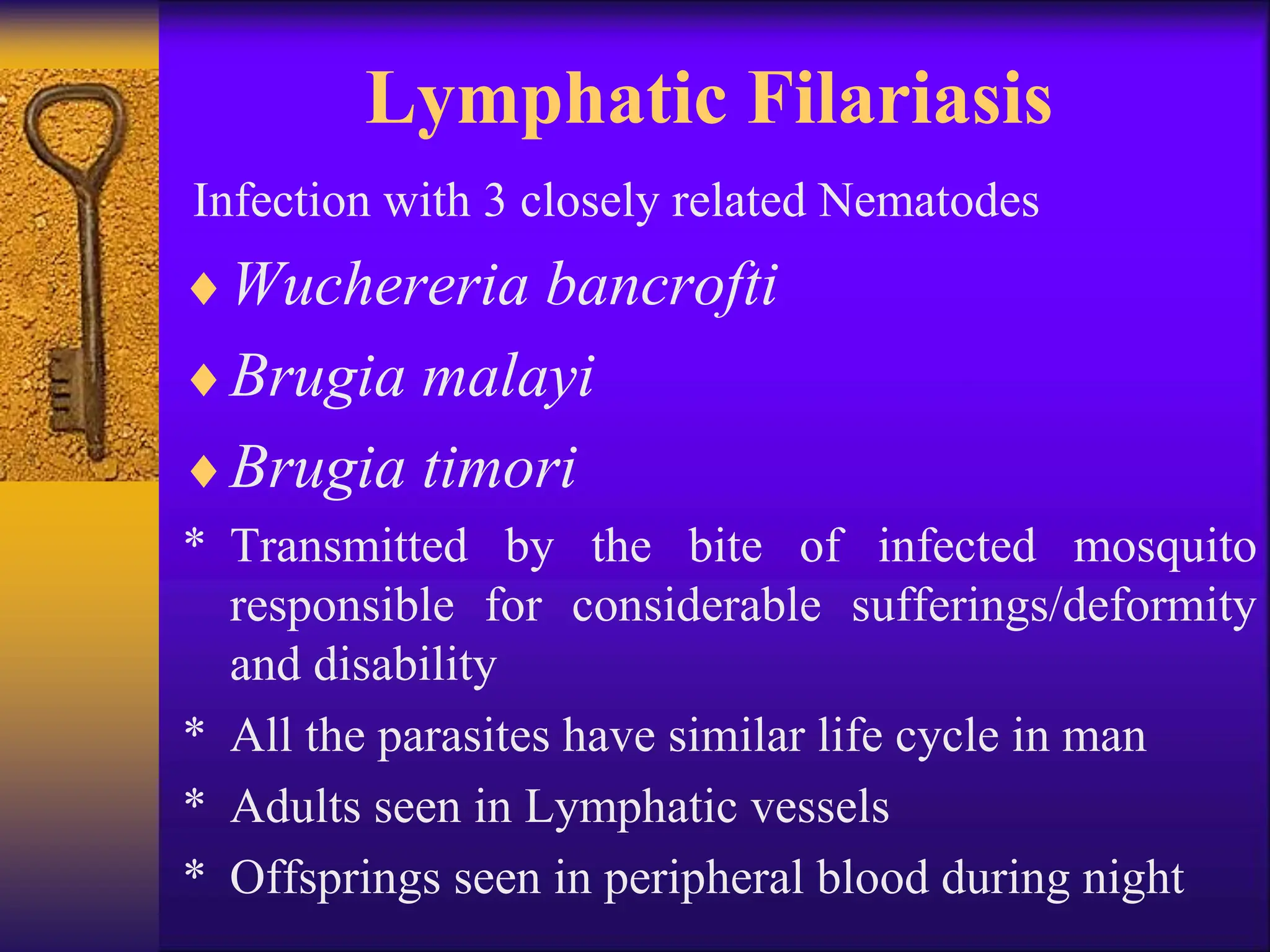 Lecture FIVE -Filariasis Pathogenesis.ppt