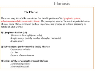 FILARIASIS. pptx | PPT