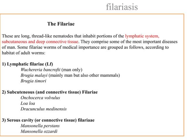 FILARIASIS. pptx | PPT