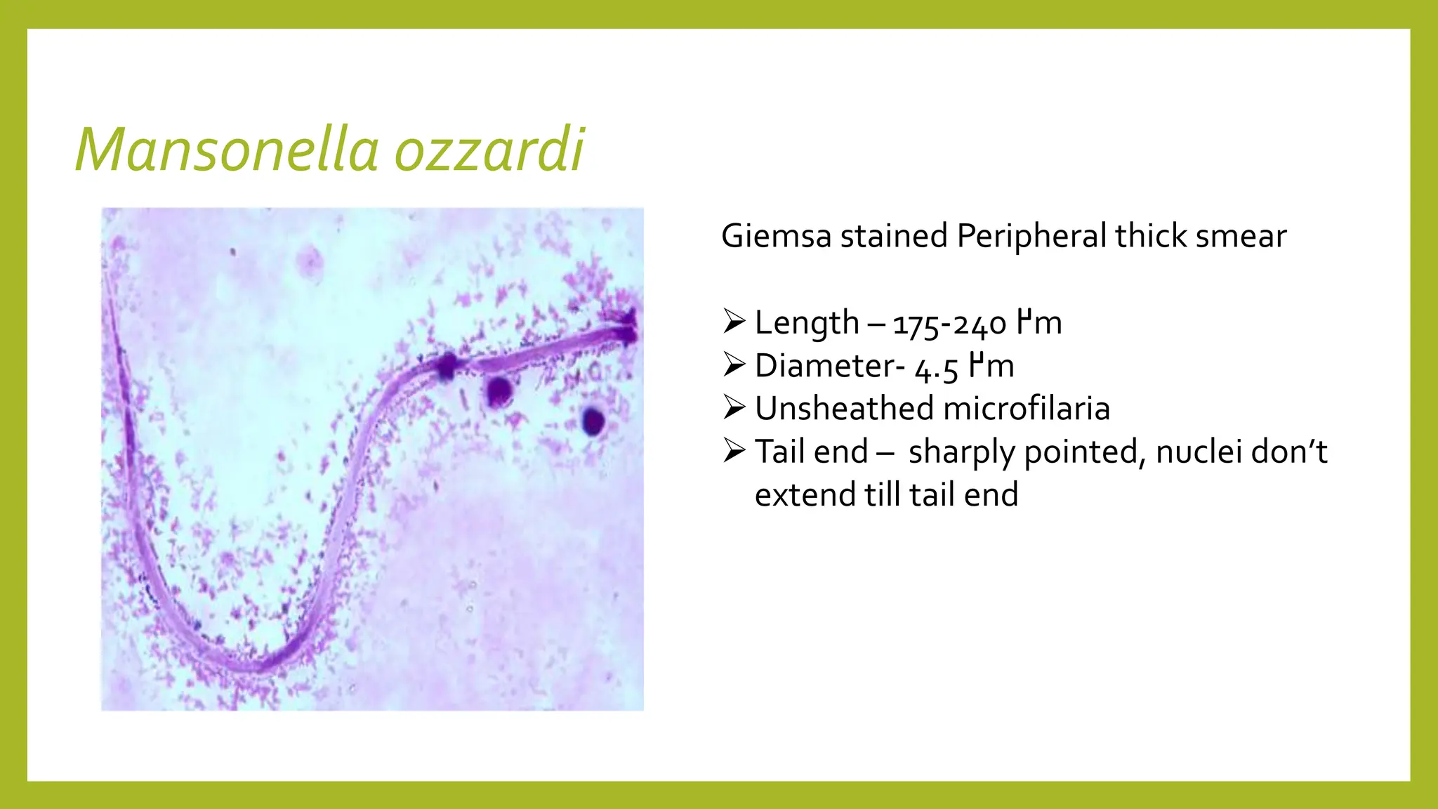 filariasis classification and general features | PPTX