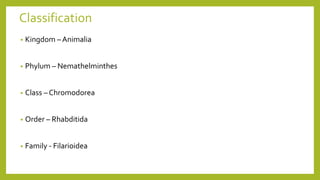 filariasis classification and general features | PPTX