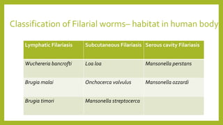 filariasis classification and general features | PPTX