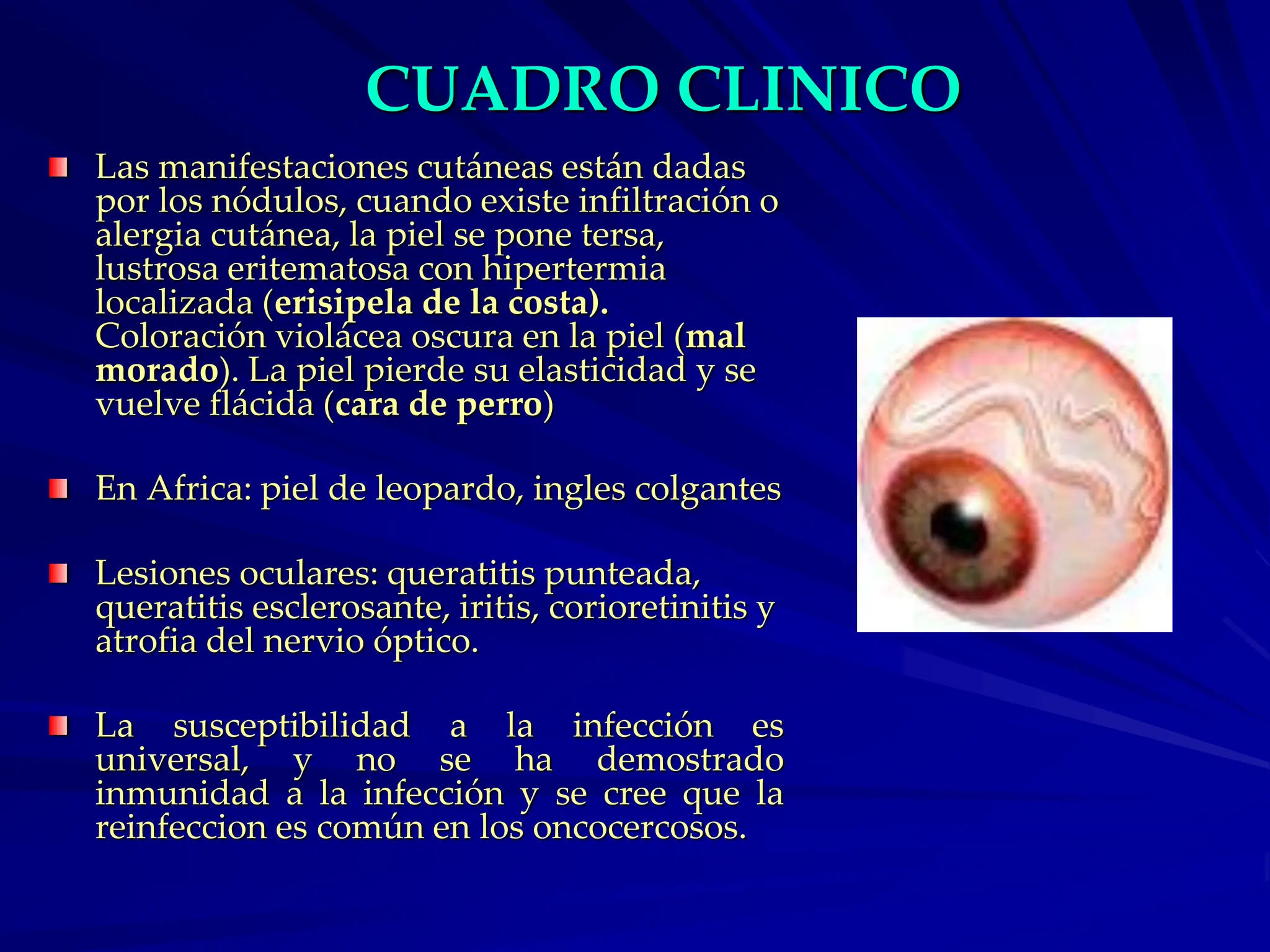 DIAPOSITIVAS DE LA FILARIASIS SUBCUTÁNEA PPT | PPT | Biological ...