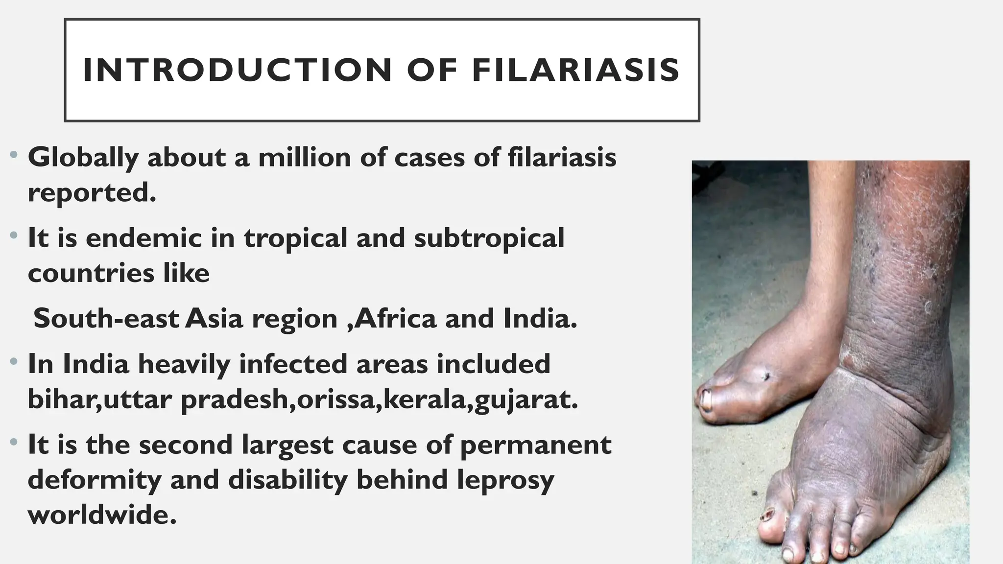filariasis in Community Health Nursing...1.pptx