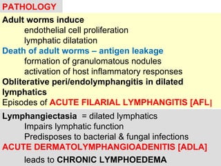 Filariasis clinical | PPT
