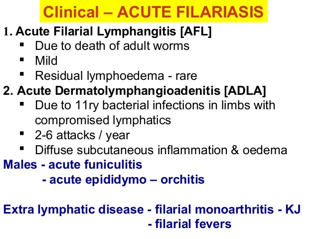 Filariasis clinical
