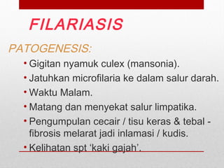 FILARIASIS - penyakit untut | PPT