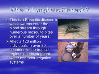 Filariasis1.ppt