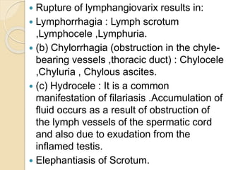 FILARIASIS condition mainly seen on community area | PPTX