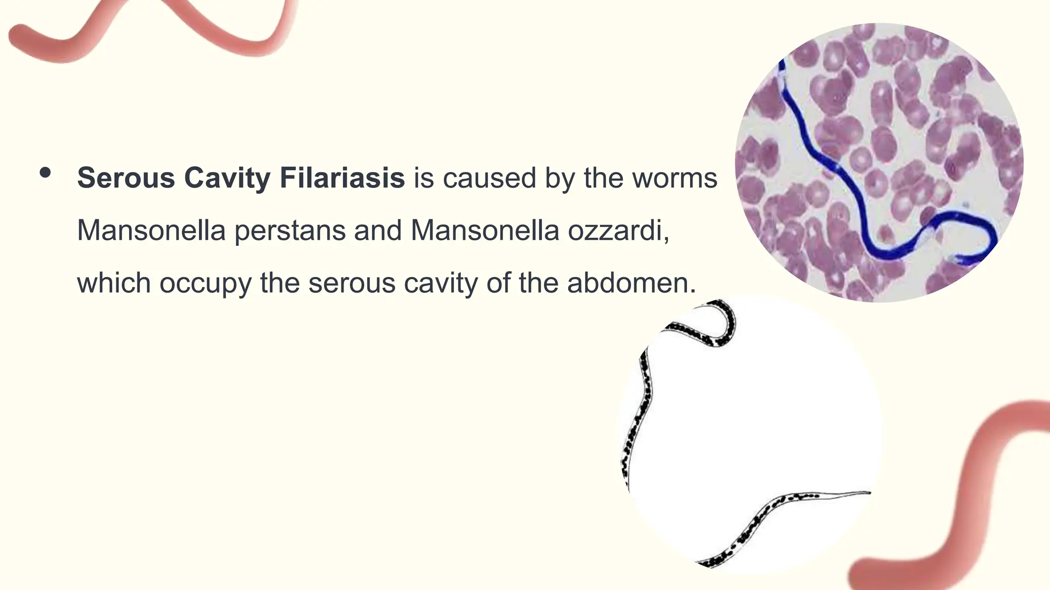 FILARIASIS CASE STUDY NURSING STUDENT.PPTX