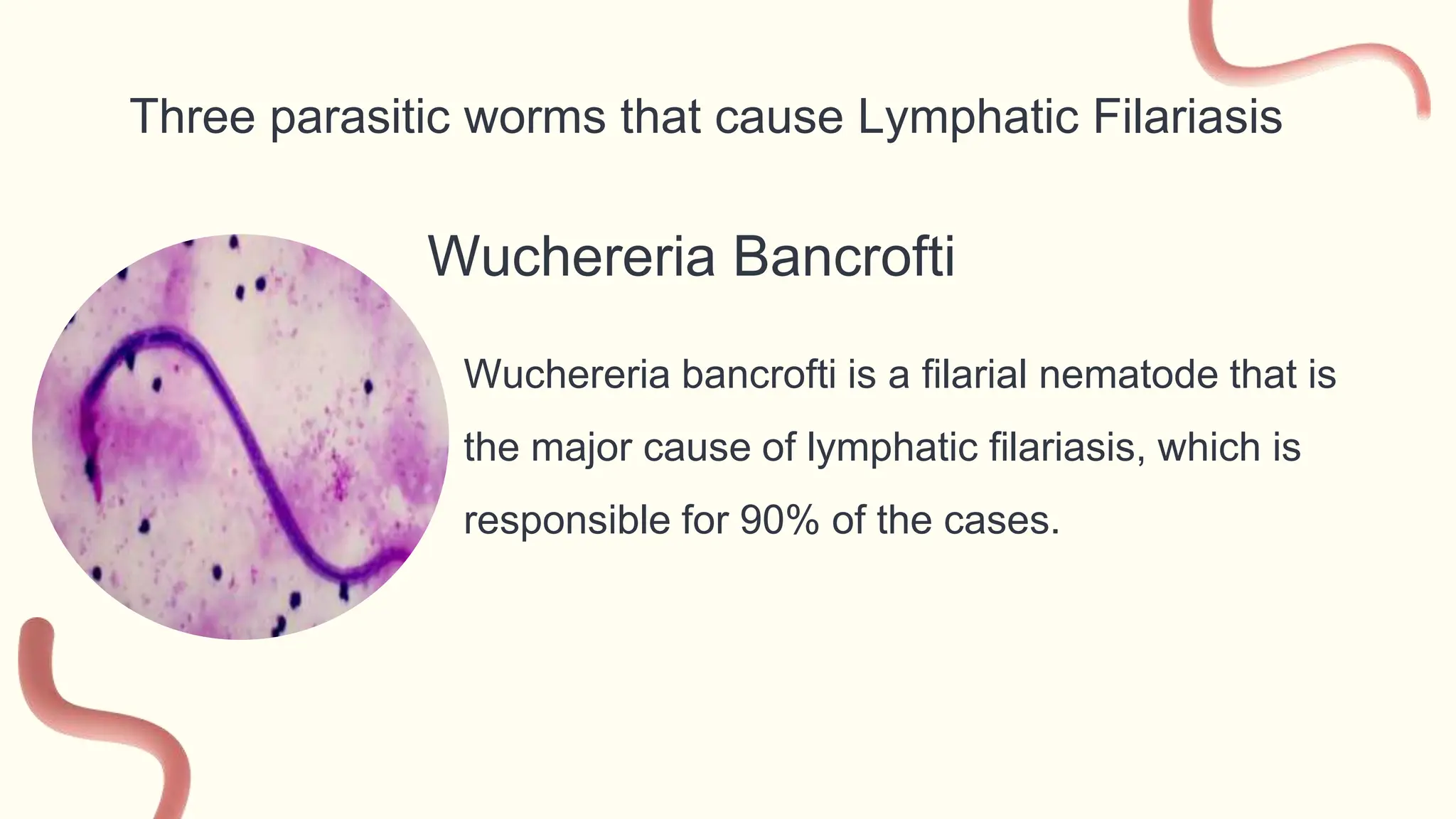 FILARIASIS CASE STUDY NURSING STUDENT.PPTX