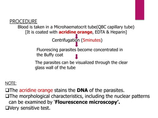 Quantitative Buffy Coat Qbc Test Principle Method And