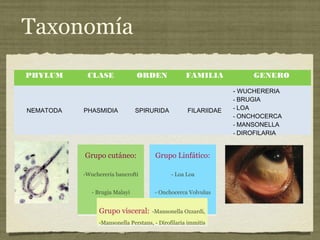 Filariasis presentación | PPT