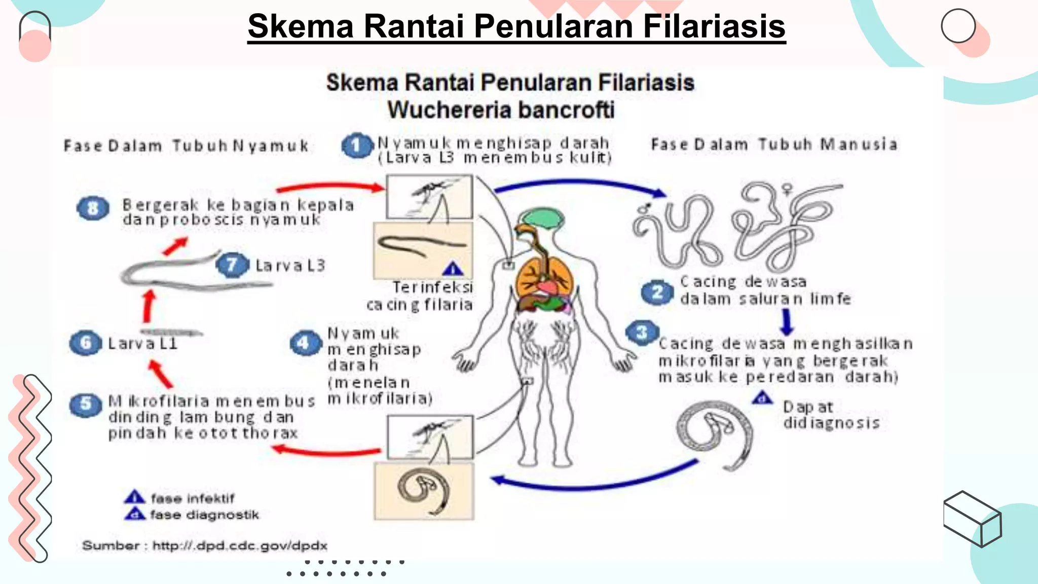 Filariasis (Ricky).pptx