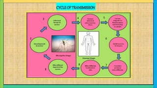 FILARIASIS (TRANSMISSION,TYPES,SYMPTOMS,PREVENTION,MCQS).pptx