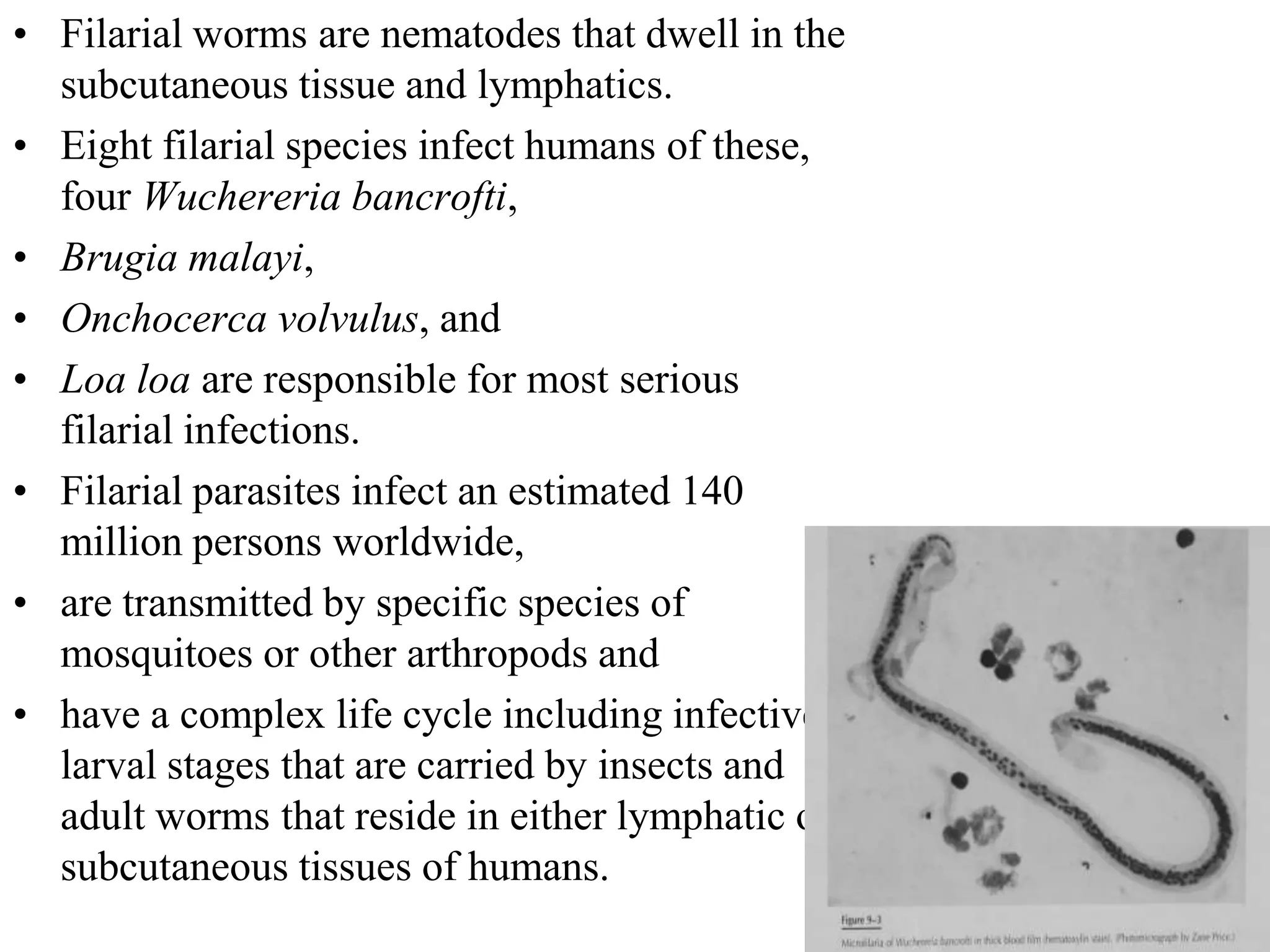 Filariioses 10 | PPTX