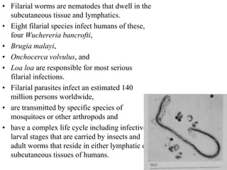 Filariioses 10 | PPT