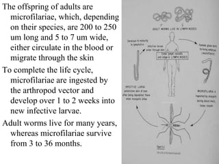Filariioses 10 | PPT
