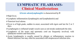 Filarisis | PPTX