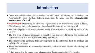 Filarisis | PPTX