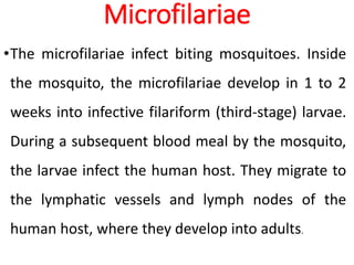 filarisisteaching-150916054642-lva1-app6892.ppt
