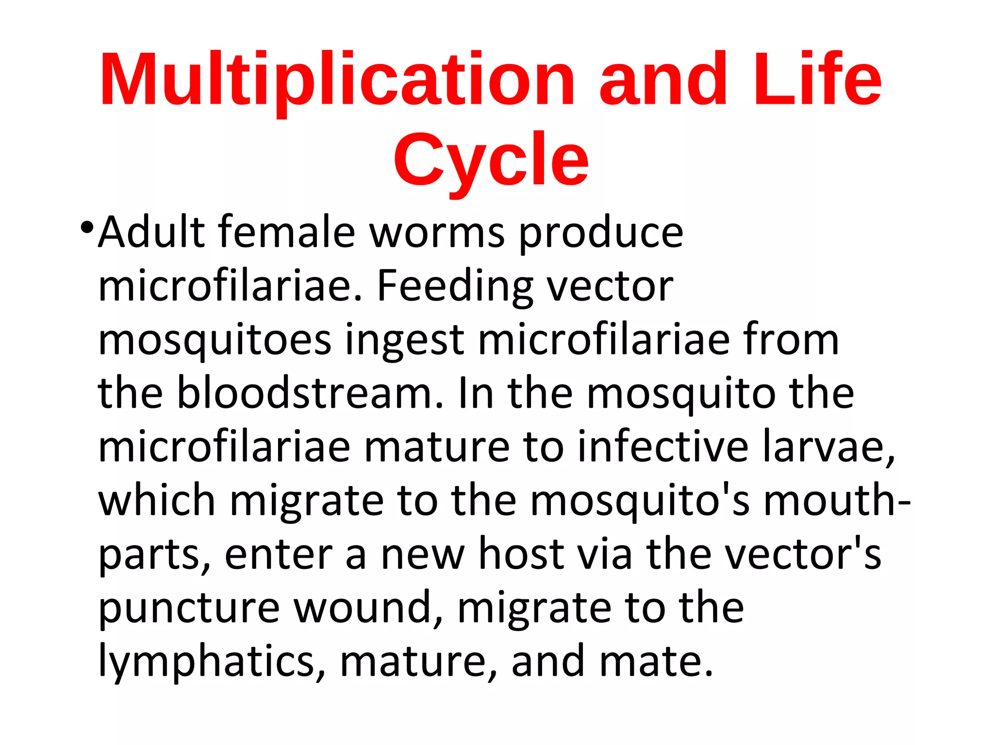 Filariasis | PPT