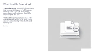 File-Extensions-in-MS-WindowsOffice.pptx