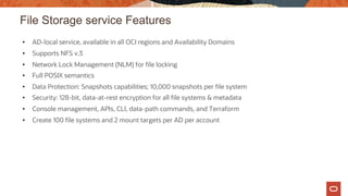 file-storage-100.pdf