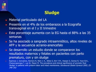 Ecografia de cuello uterino en el embarazo | PDF