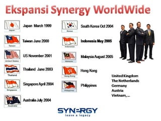 Company Profile of Synergy | PDF