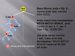 Dual Linear Mega Match - Marketing Plan Synergy WorldWide | PDF