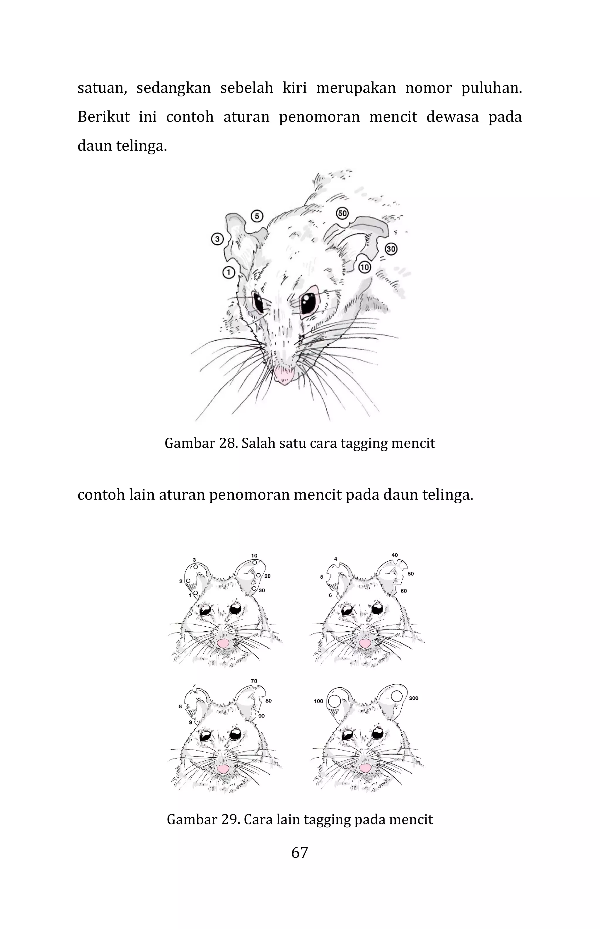 file_10219000341.pdf