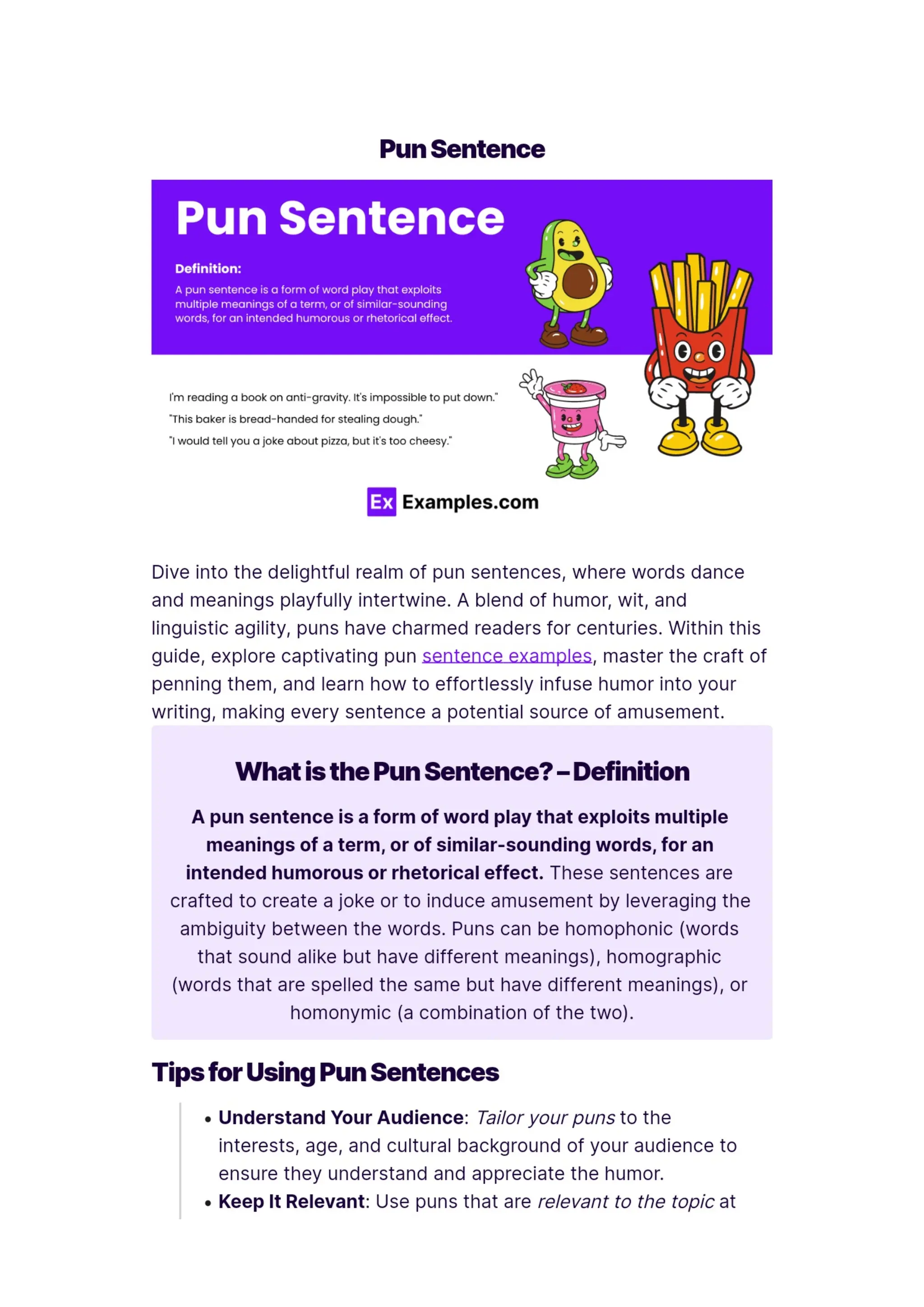 LITERARY TERMS IN ENGLISH - PUN SENTENCES | PDF