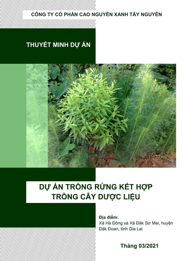 du an trong rung ket hop cay duoc lieu 0918755356 | PDF
