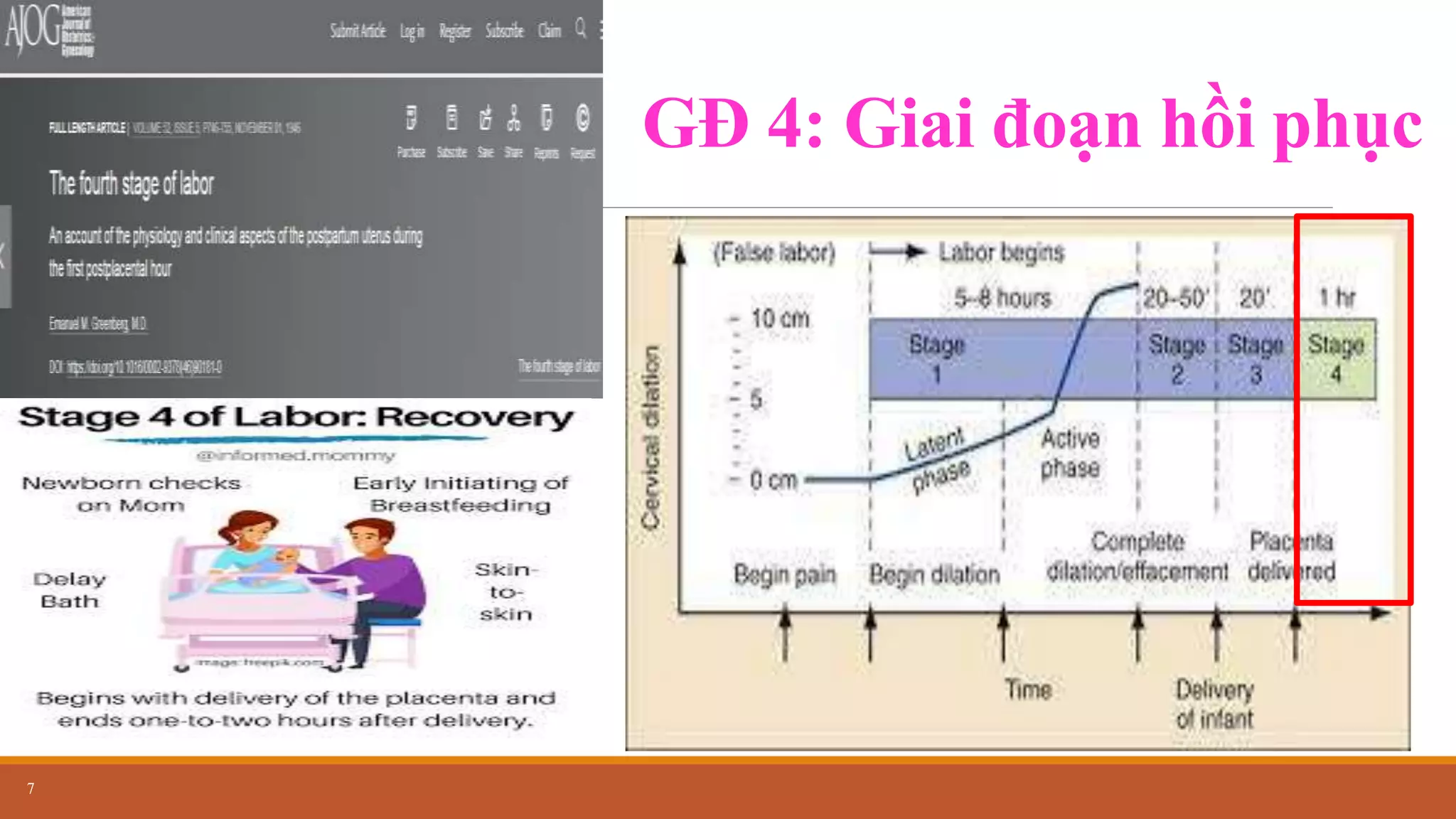 XỬ TRÍ CHUYỂN DẠ BẤT THƯỜNG | PPTX