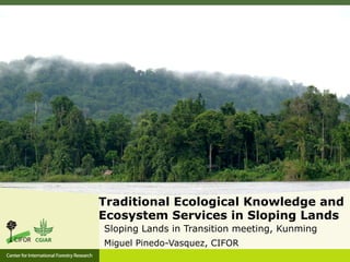 Traditional Ecological Knowledge for Sloping Lands Forest Management | PPT