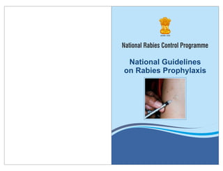 National rabies guidelines | PDF
