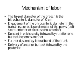 Breech presentation | PDF | Pregnancy | Reproductive Health