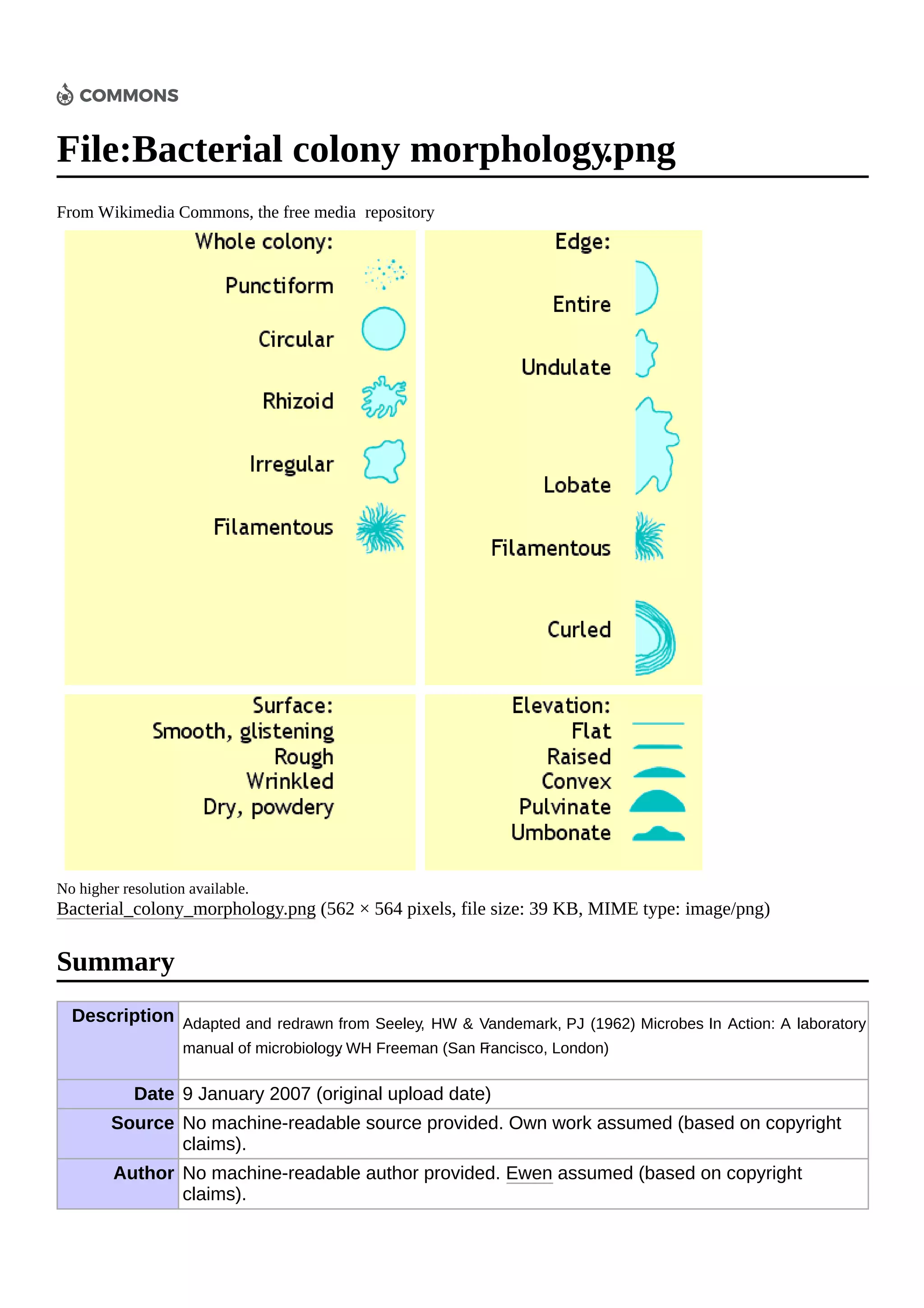 File bacterial colony_morphology.png(1) | PDF