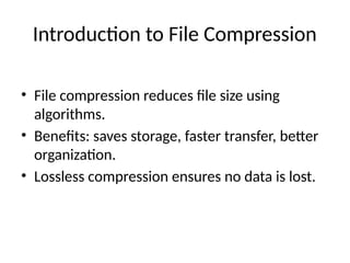 File_Compression_Techniques_Presentation (1).pptx