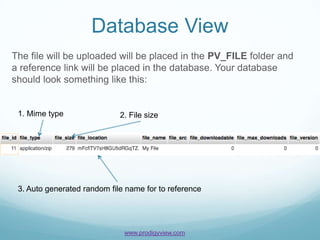 File Content Management | PPTX | Databases | Computer Software and Applications